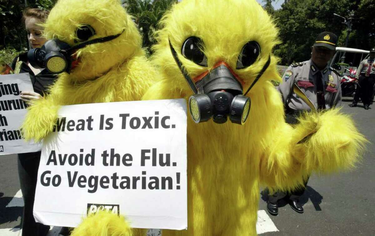 PETA's protests