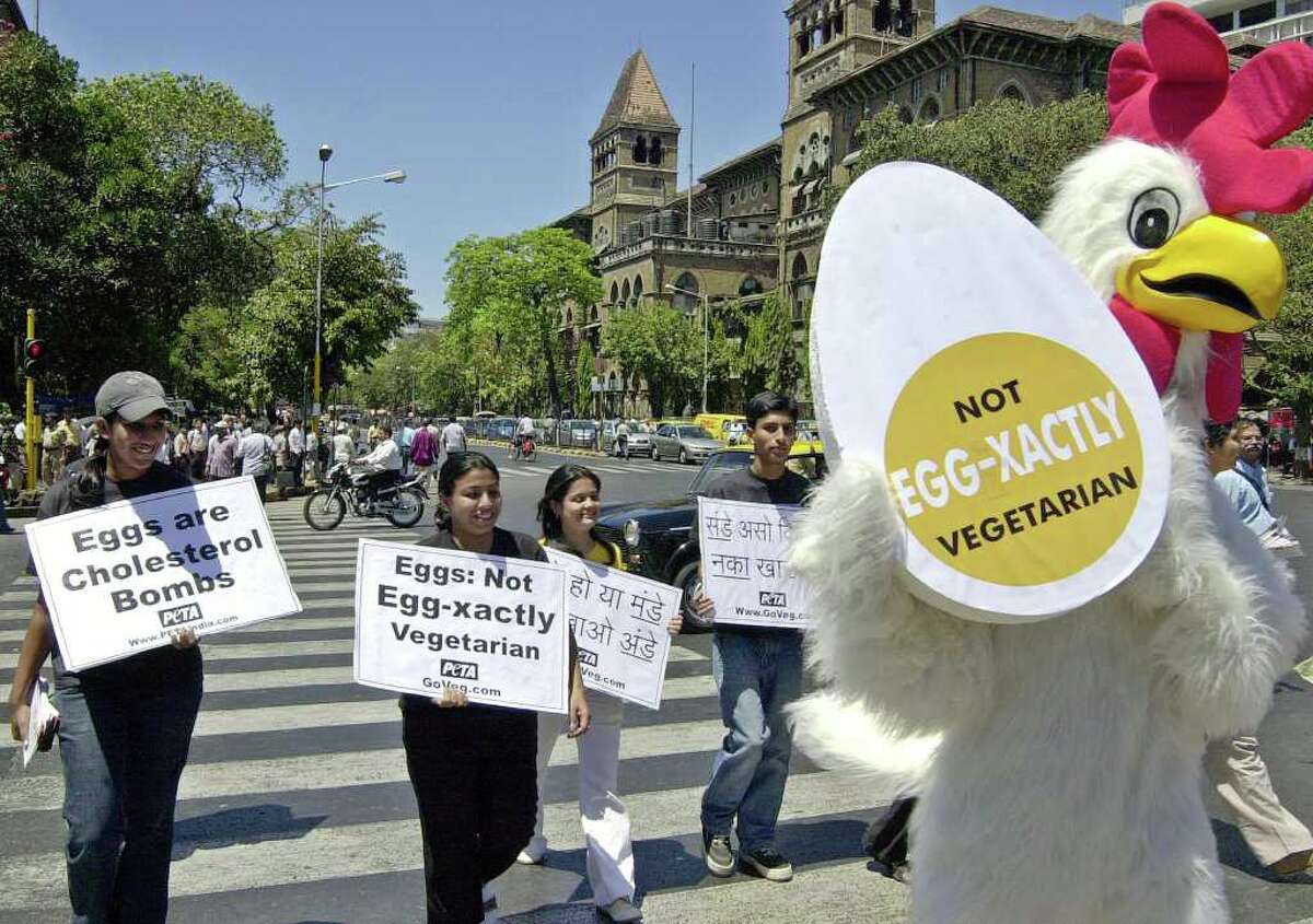 PETA's protests