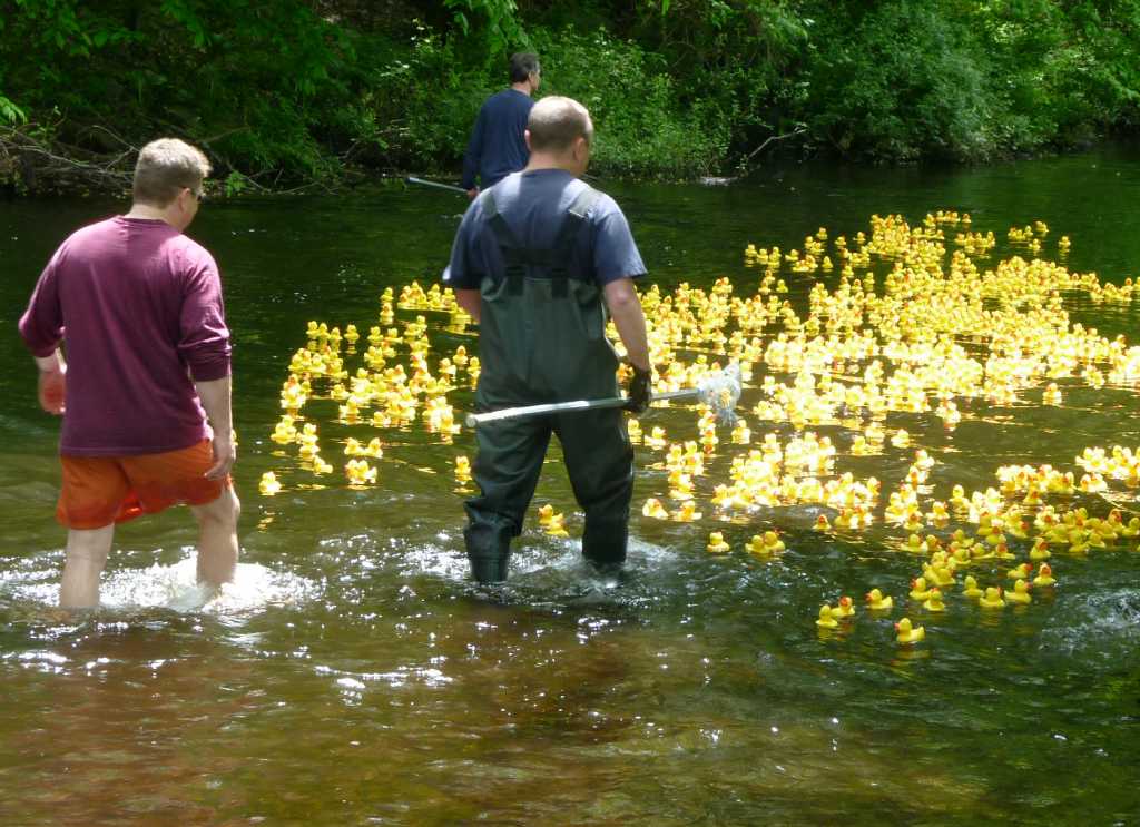 Mill River overflows with fun for Duckie Derby benefit