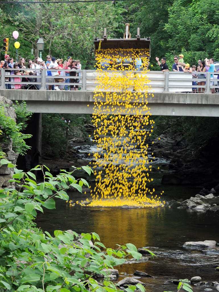 Great Pootatuck Duck Race offers family fun