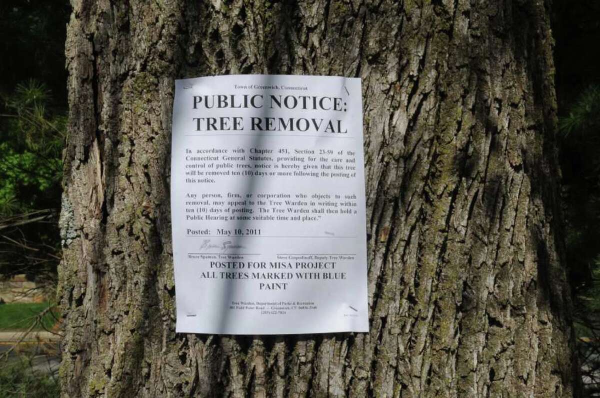 Tree warden ruling presents new challenge for MISA