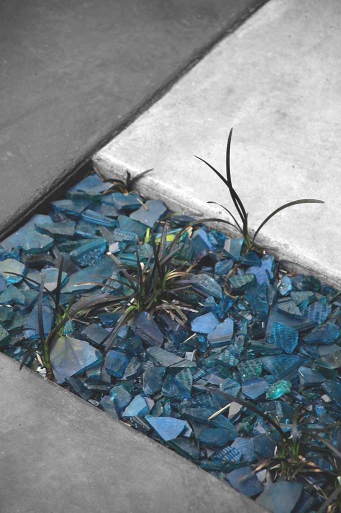 Leafing through how a garden grows