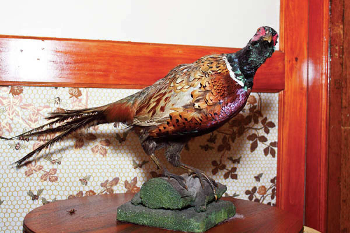 LAH June 2011 gallery photos