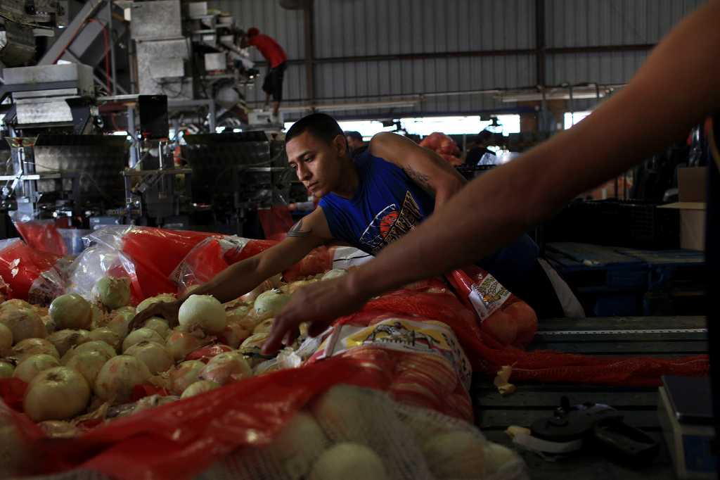 Mexican produce forging strong South Texas ties