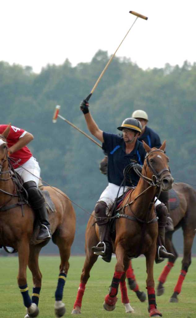 Sport: All you need to know to enjoy polo