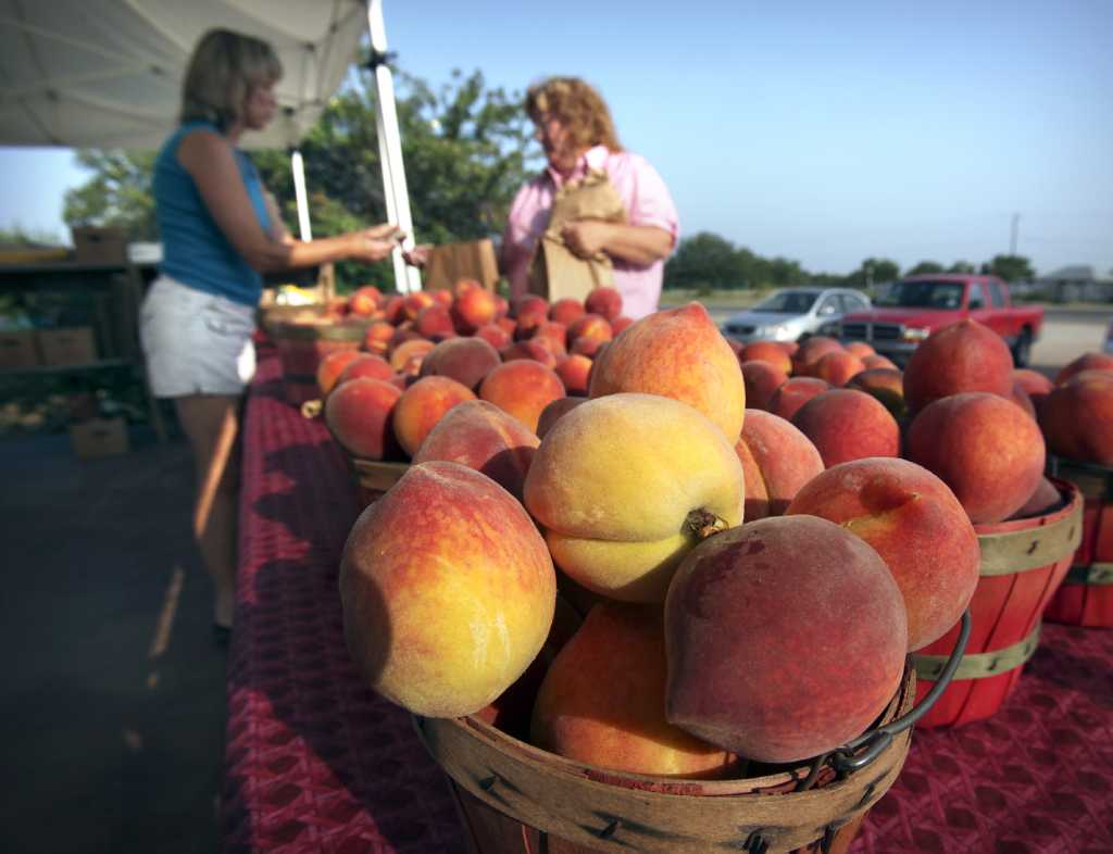 Smaller but sweeter peach season