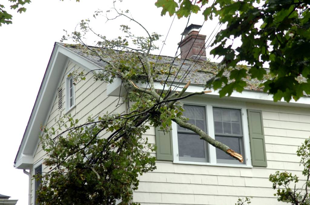 Family escapes injury as tree hits house