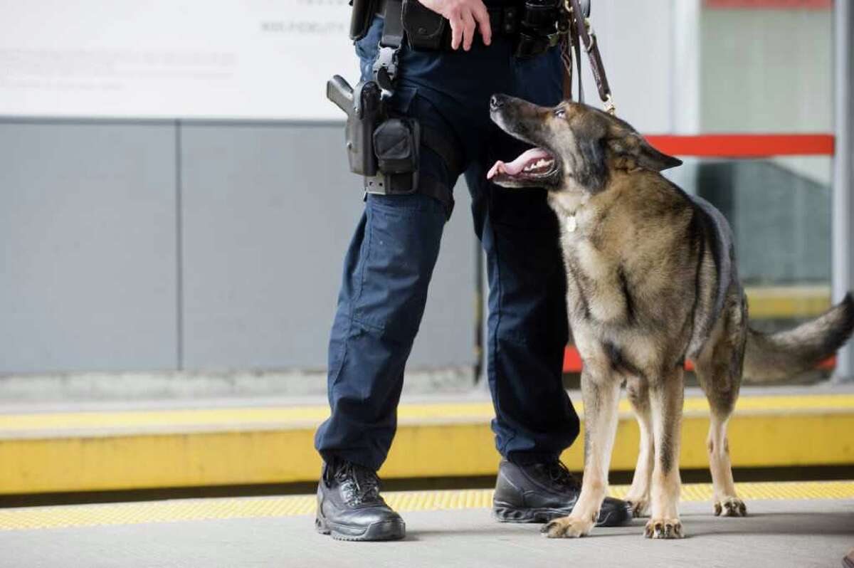 MTA's police dog unit works to keep passengers safe