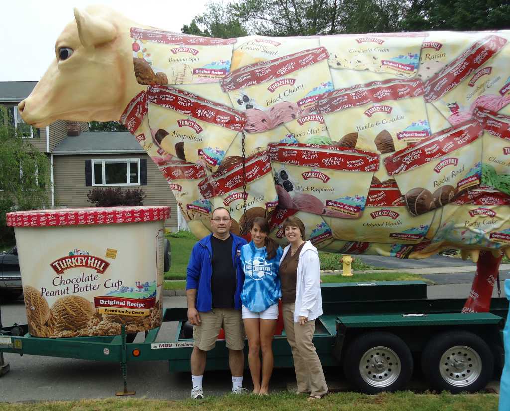 Two ton cow seen in Seymour