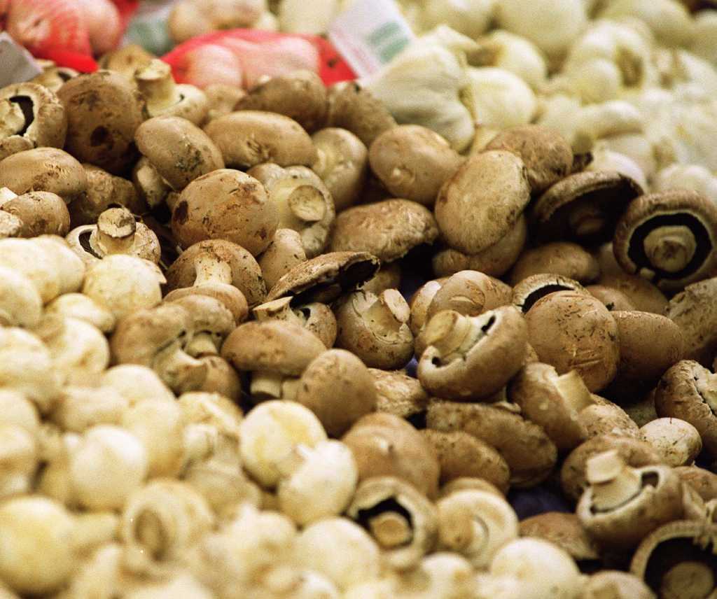 The dirtiest and cleanest fruits and vegetables