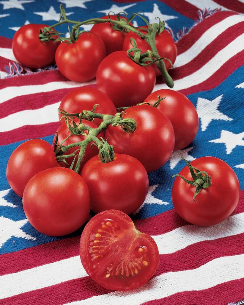 Second chance at tomatoes