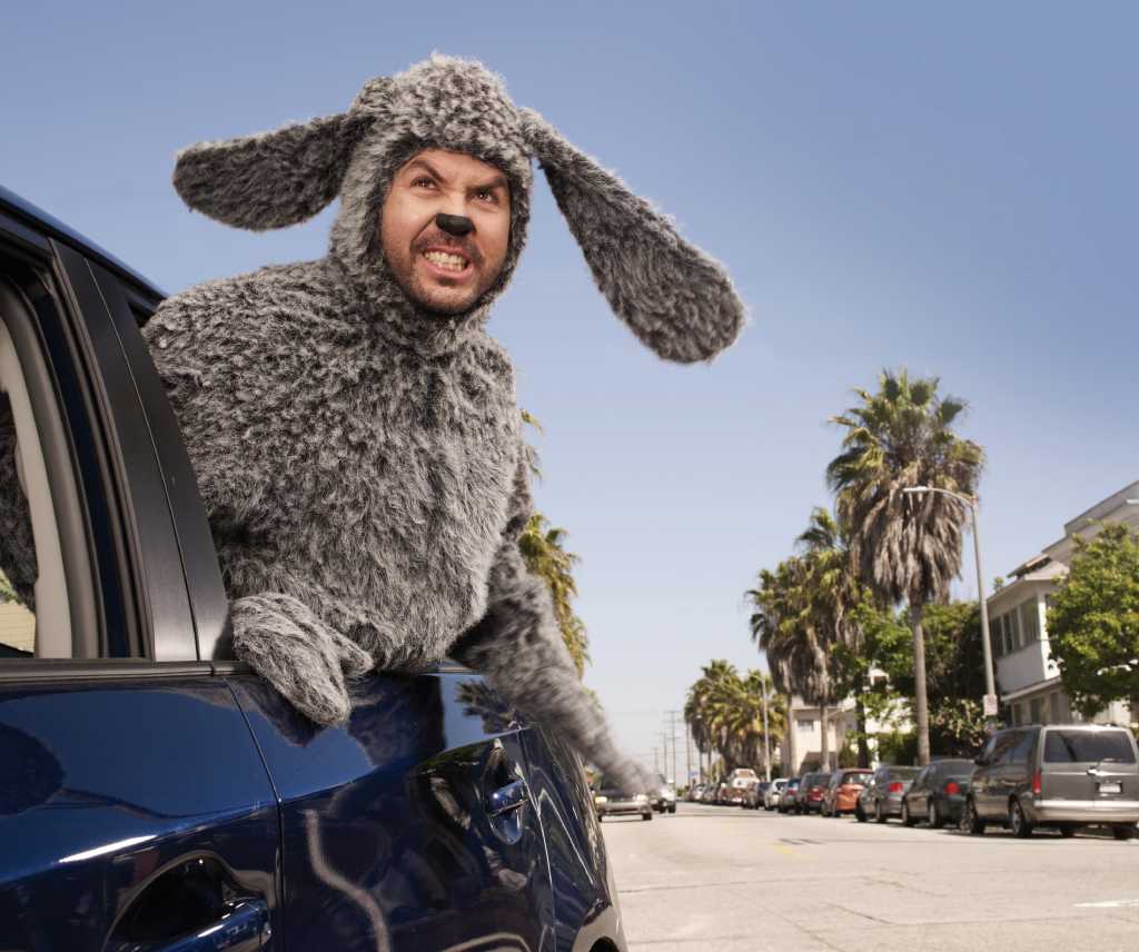 FX's'Wilfred' does far more than sit and stay