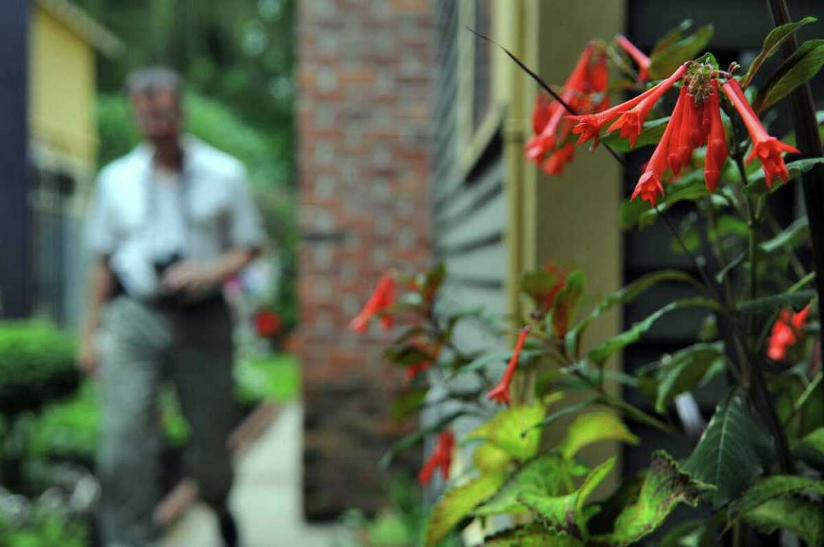 Two gardens with two tales