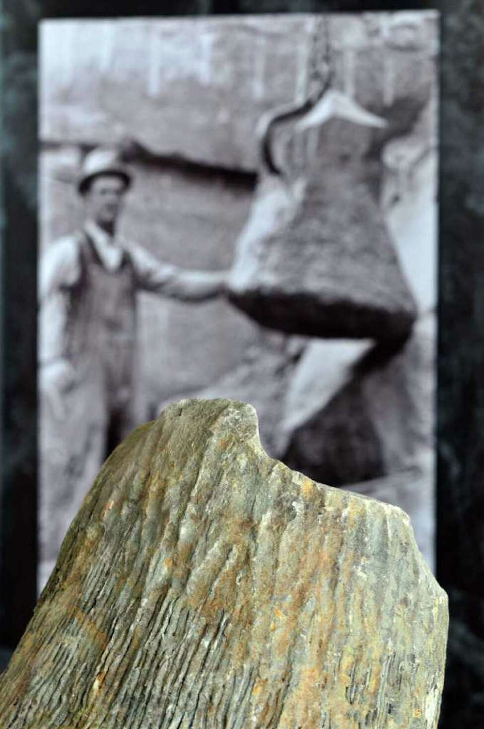 380 million years later, stumps rise from muck