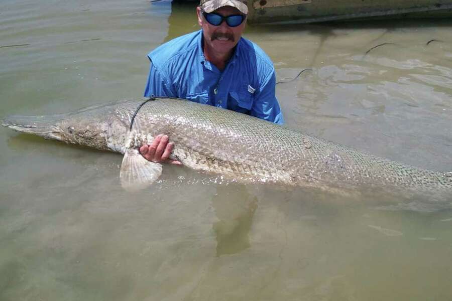 Video: Backhoe hauls up 'giant' alligator gar that may break East Texas ...