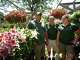 Ganim family fills Fairfield home gardens with plants, veggies -- and ...