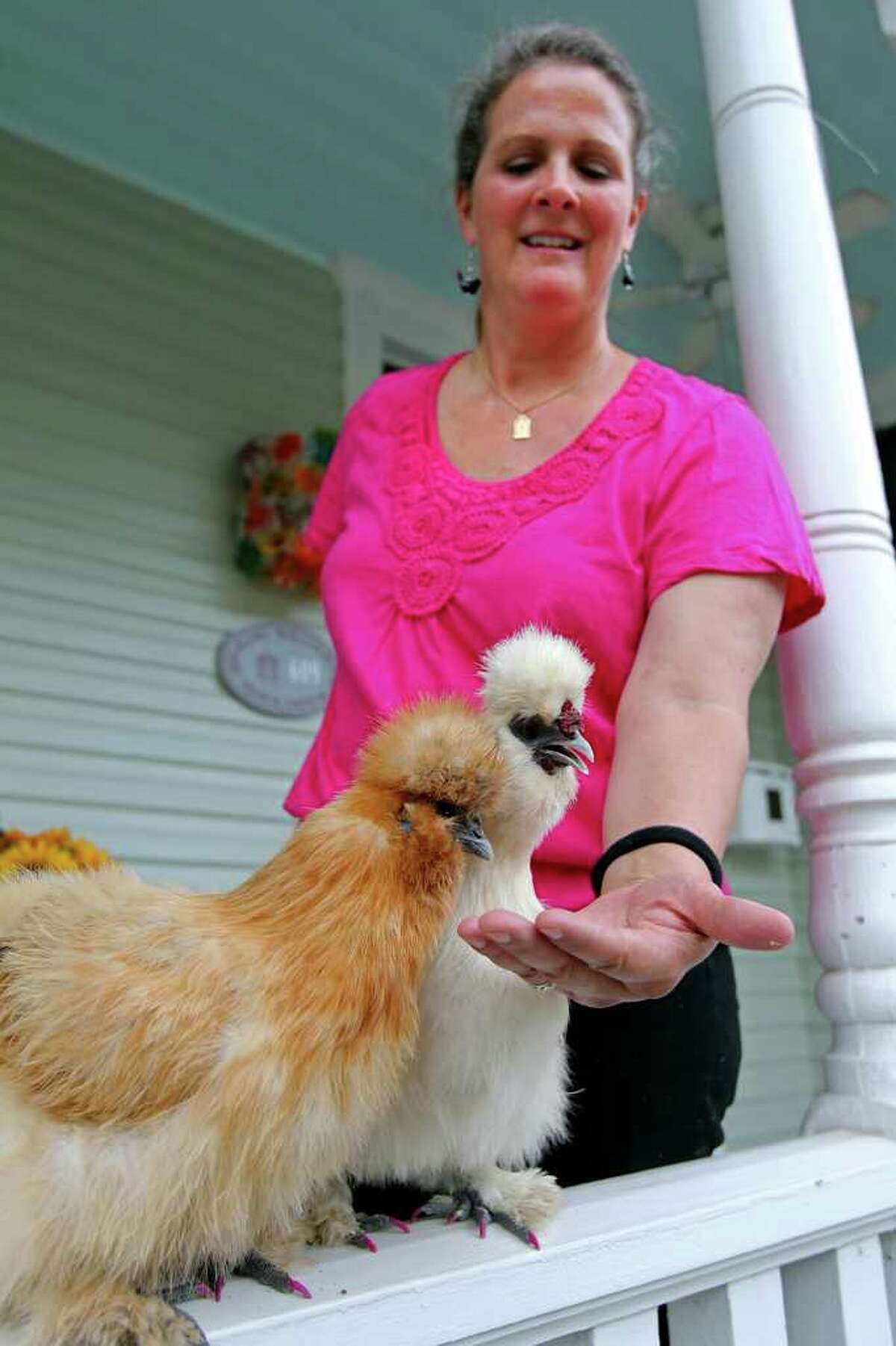 Hens in the King William 'hood