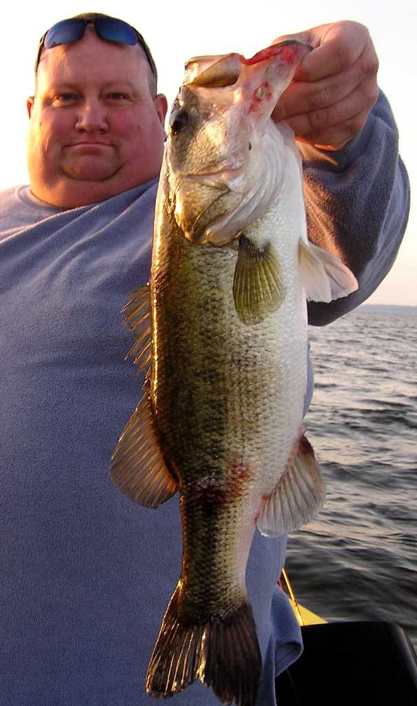 Toledo Fishing Report for July 14