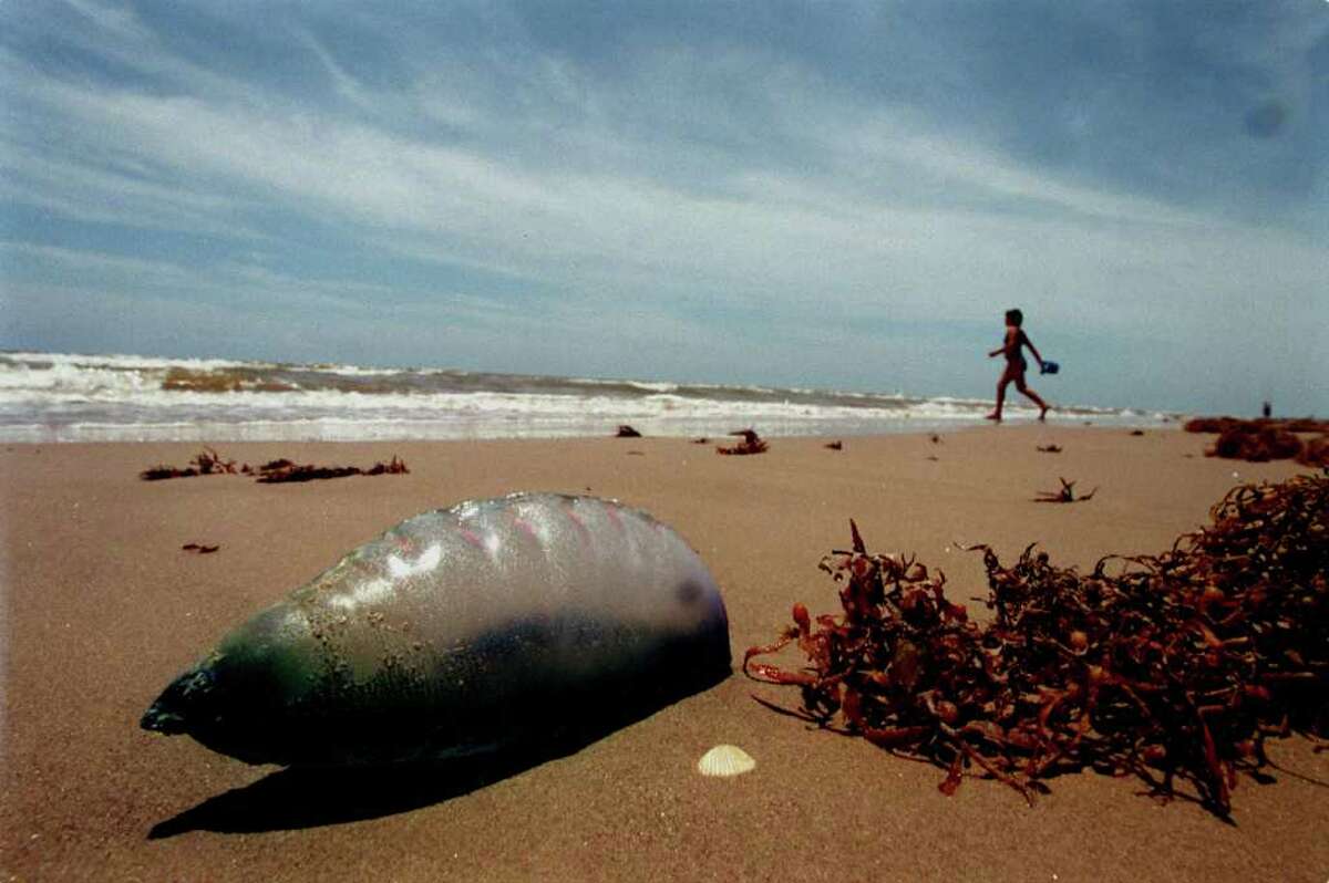 National report identifies Texas beaches with polluted water samples