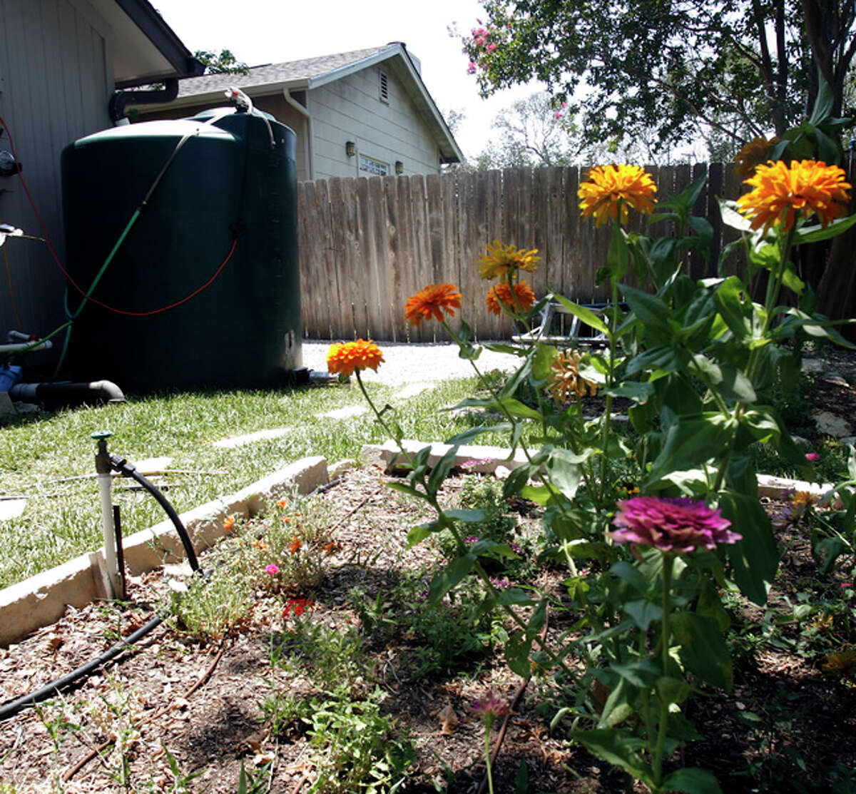 Rainwater collection making a splash as drought lingers