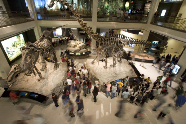 Houston museum plans expansion, rare exhibit