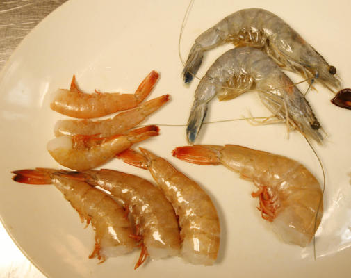 Ocean-friendly food?