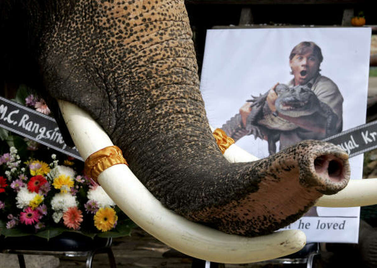 Crocodile Hunter Steve Irwin killed by stingray