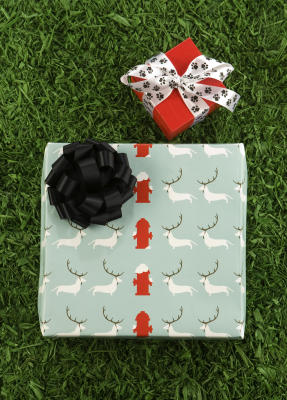 Get your paws on this special wrapping paper