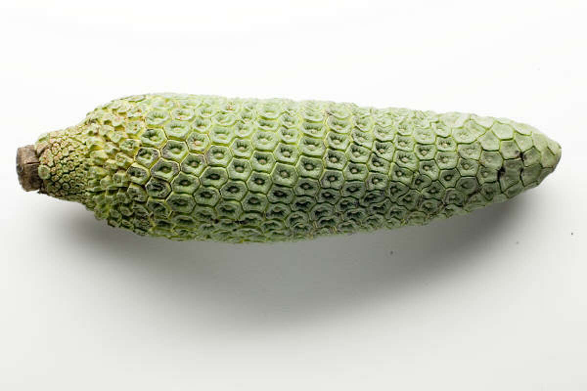 Scaly fruit is a tropical delight