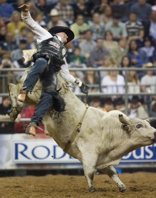 Wrap your tassle around rodeo lingo