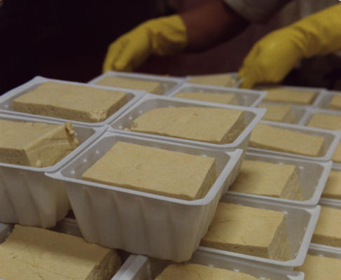 Local tofu makers