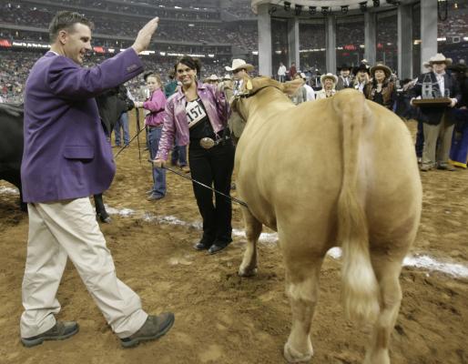 Champion steer's big win is 'Irreplaceable' to teen owner