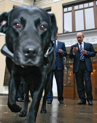 Putin's pooch tries out a new GPS tracking system