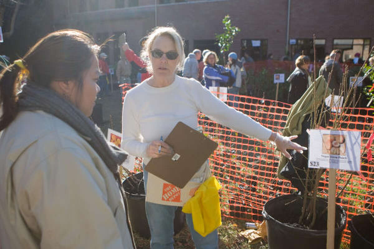 Fruit tree sale primer