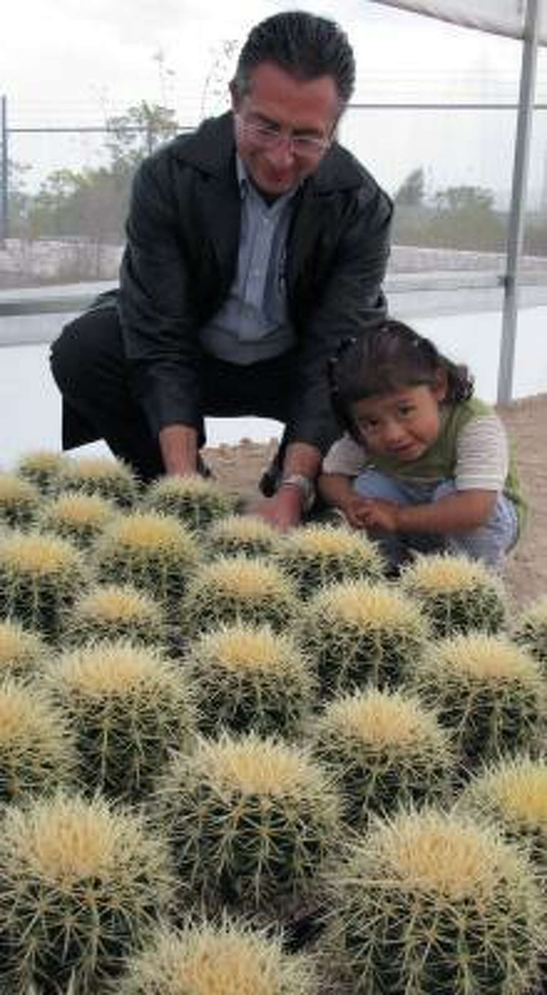 Spike in poaching threatens Mexican cacti