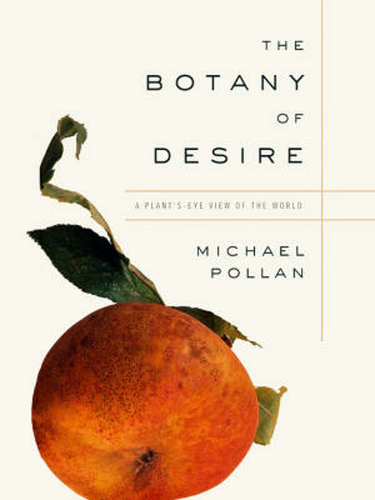 Tracing the evolution of marijuana cultivation