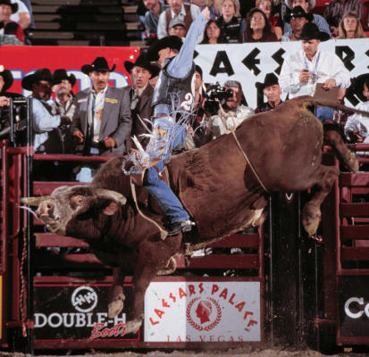 Rodeo star Ty Murray, Jewel say baby is on the way