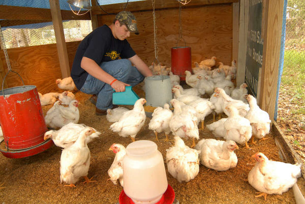 Montgomery County FFA groups work to expand program lineup