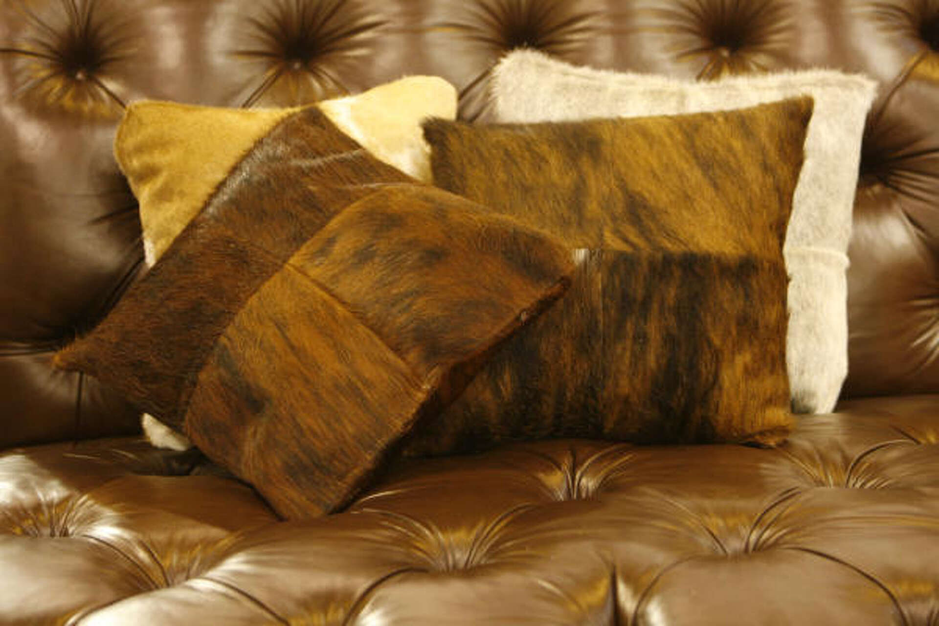 Check out these 5 items at rodeo booths