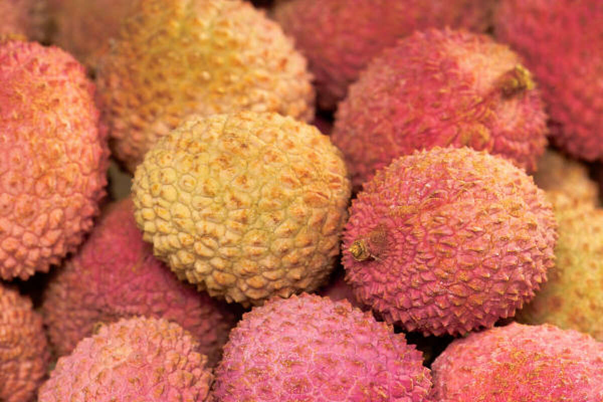 What is the best lychee variety for our area?