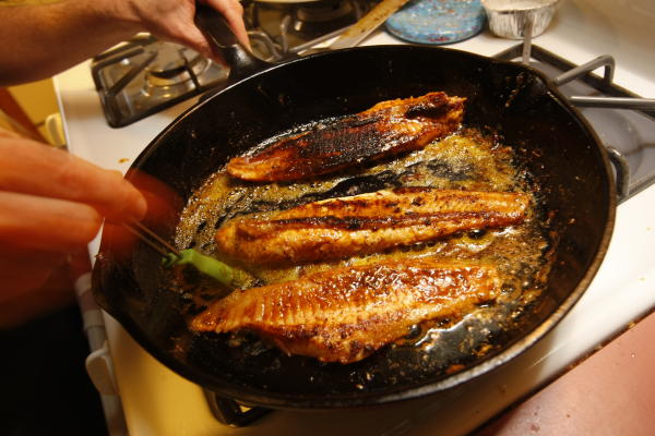 Rod and rifle recipes