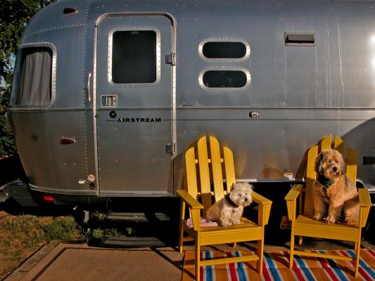RV camping goes to the dogs
