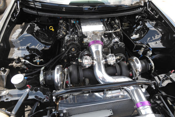 Meet the kings of horsepower