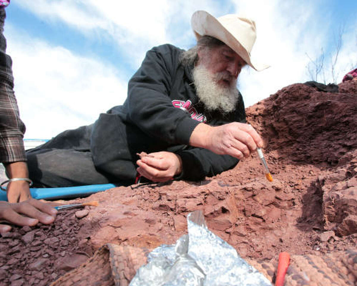 Houston museum unearths next big creature feature