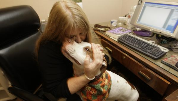 Lawyers turn career into pet project as animal law grows