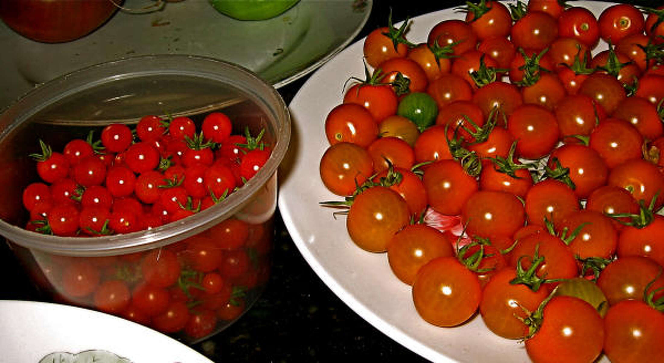 With fall tomatoes, timing is everything