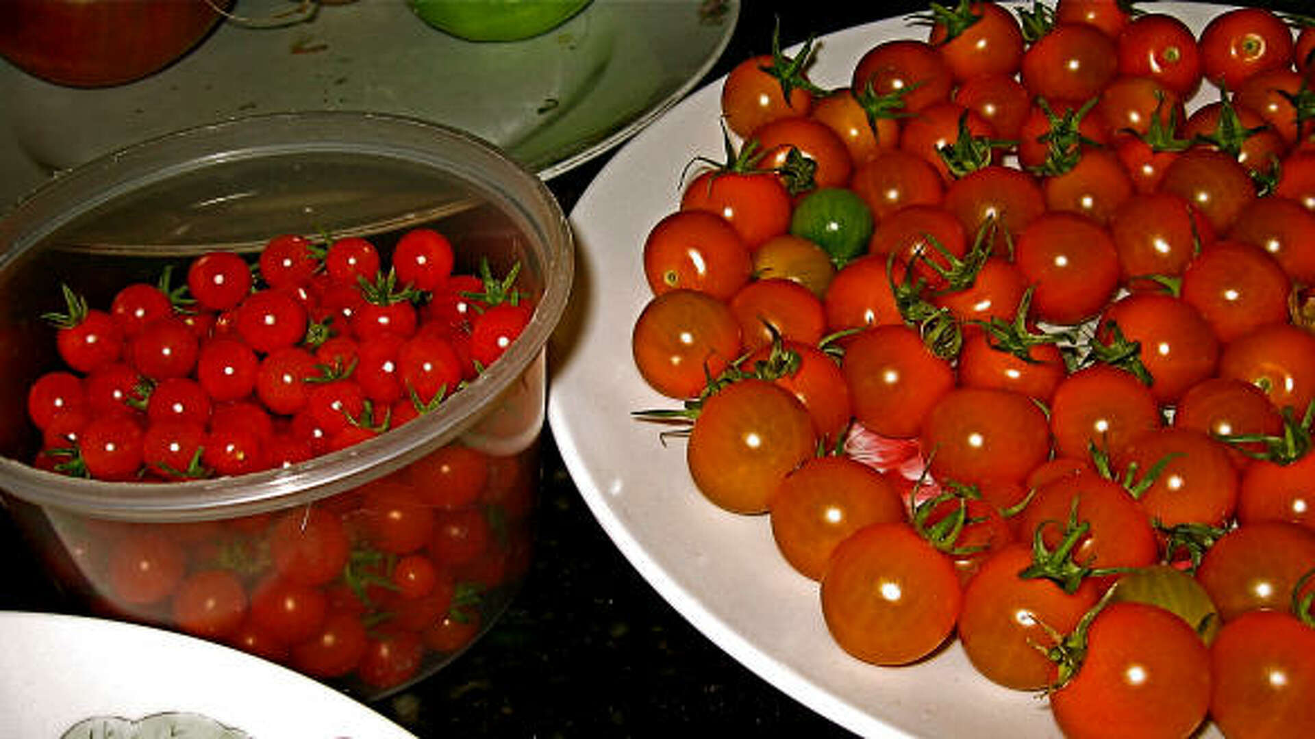 With fall tomatoes, timing is everything