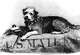 Owney the postal dog officially has his day