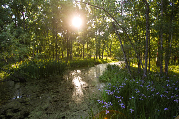 Fight for the prairie