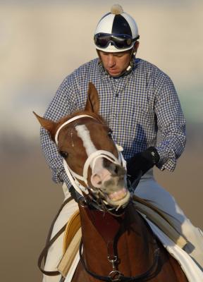 The legacy of Barbaro leads to changes at Kentucky Derby